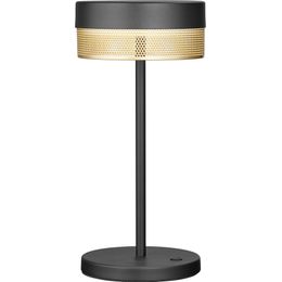 LED Tischleuchte "MESH-B", schwarz, goldfarben, 1, &Oslash; 14,5cm H: 30cm, 1 Stk., HELL H&Ouml;LLISCH GUTES LICHT, Leuchten, Tastdimmer, IP54, LED Tischleuchte