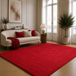 Teppich the carpet "kuschelig & Super Soft, Anti-Rutsch Unterseite", rot, B:140cm H:16mm L:200cm, Polyester, Teppiche, Teppich, Waschbar bis 30 Grad, Felloptik, Wohnzimmer Teppich, Kundenliebling