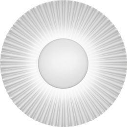 LED Wandleuchte "SHELLY", wei&szlig;, 1, &Oslash; 16cm, 1 Stk., HELL H&Ouml;LLISCH GUTES LICHT, Leuchten, LED Wandleuchte