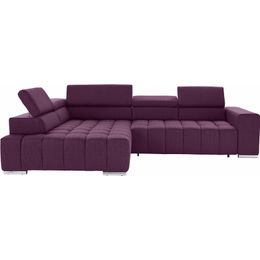 Ecksofa exxpo - SOFA FASHION "Elias, aktuelle Kreuzsteppung im Sitz, bequem, Breite 307cm, L-Form", lila (hortensia), B:307cm H:94cm T:201cm, Struktur ( 100% Polyester), Sofas, Ecksofa, mit Kopf- bzw. R&uuml;ckenverstellung, wahlweise mit Bettfunktion