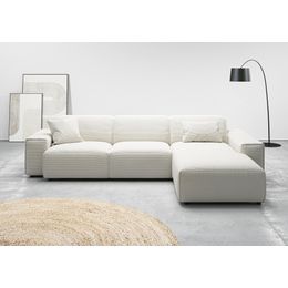 Ecksofa Home Affaire "Glimminge auch in Breitcord, Feincord, Boucl&eacute; + Easy care-Bezug", wei&szlig; (snow), B:294cm H:71cm T:191cm, 12% Polyaxryl, 88% Polyester, Sofas, Ecksofa, L-Form, Breite 294, Zierkissen