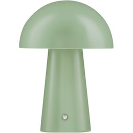 NOVA LUCE Tischleuchte "ANDE", gr&uuml;n, 1, &Oslash; 16cm H: 22cm, 1 Stk., Leuchten, Tischleuchte