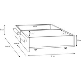 Bettschubkasten FORTE "Surfino", grau (grau, catania eiche), B:101,8cm H:15cm T:53cm, Holzwerkstoff, Schubladen, Bettschubkasten
