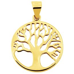 Adelia&acute;s Kettenanh&auml;nger ADELIA&acute;S "Anh&auml;nger &ndash; Lebensbaumanh&auml;nger aus 925 Silber", gold, Schmuckanh&auml;nger, Damen, Silber 925 (Sterlingsilber), Kettenanh&auml;nger, Geschenkidee: zeitlos und vielseitig