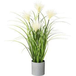 Kunstgras OTTO HOME "Riedgras", gr&uuml;n, B:10cm H:50cm, Kunststoff, Kunstpflanzen, im grauen Kunststofftopf