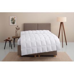 Daunenbettdecke OTTO HOME "Marseilles Bettdecke 135x200 cm und 155x220 cm", wei&szlig;, B:155cm L:220cm, Bezug: 100% Baumwolle. F&uuml;llung: 100% Daunen, Bettdecken, Bettdecken, Sommer, Winter, Allergiker geeignet ( Hausstauballergiker)