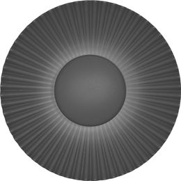 LED Wandleuchte "SHELLY", schwarz, 1, &Oslash; 16cm, 1 Stk., HELL H&Ouml;LLISCH GUTES LICHT, Leuchten, LED Wandleuchte