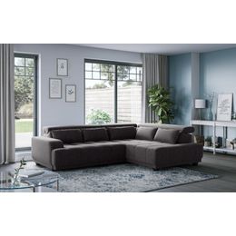 Ecksofa COTTA "Jade L Form, Breite: 270 cm, mit Kopfteilverstellung & Nierenkissen", grau (schwarz), B:270cm H:90cm T:203cm, 100% POLYESTER (PES), Sofas, Ecksofa, optional elektr. Sitztiefenverstellung, Topseller