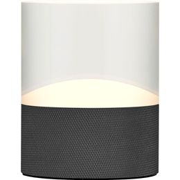 LED Tischleuchte "TROPHY", schwarz, 1, &Oslash; 8cm H: 10cm, 1 Stk., HELL H&Ouml;LLISCH GUTES LICHT, Leuchten, Touchdimmer, 2-Stufen CCT, LED Tischleuchte