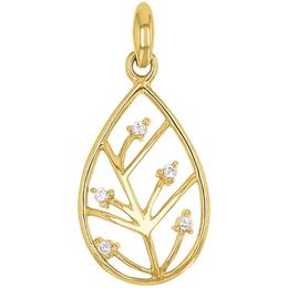 Kettenanh&auml;nger Amor "Tropfen mit &Auml;sten", gold (gelbgoldfarben, kristallwei&szlig;, kristallwei&szlig;), Schmuckanh&auml;nger, Damen, Gelbgold 375, 0,41 g, Kettenanh&auml;nger, mit Zirkonia (synth.)