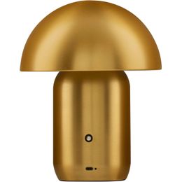 NOVA LUCE Tischleuchte "POIS", goldfarben, 1, &Oslash; 20cm H: 25,5cm, 1 Stk., Leuchten, Tischleuchte