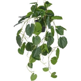 Kunstpflanze Creativ green "H&auml;ngende Peperomia caperata", gr&uuml;n, H:70cm, Kunststoff, Kunstpflanzen, Kunstpflanze, mit &uuml;ppigen Ranken