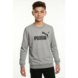 Sweatshirt Puma "ESS NO 1 LOGO CREW TR B", Jungen, Gr. 128, grau (medium gray heather), Sweatware, Obermaterial: 68% Baumwolle, 32% Polyester, bedruckt, regular fit normal, Rundhals, angesetztes B&uuml;ndchen, Sweatshirts Sweatshirt, f&uuml;r Jugendliche, sportlicher Stil, Rundhalsausschnitt, ohne Kapuze