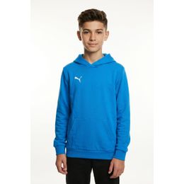 Kapuzensweatshirt Puma "TEAMGOAL CASUALS HOODY JR", Kinder, Gr. 128, ignite blau, Puma wei&szlig;, Sweatware, Obermaterial: 100% Baumwolle, unifarben, regular fit normal, angesetztes B&uuml;ndchen, Sweatshirts, mit Kapuze, normale Kragenform, regul&auml;re Passform, f&uuml;r Jugendliche