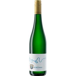 Weingut Borchert vom Roten Schiefer Riesling 2024 Trocken - Mosel &ndash; Wei&szlig;wein Qualit&auml;tswein