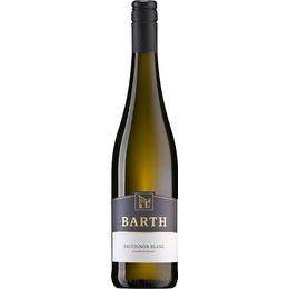 Weingut Holger Barth -entalkoholisiert- Sauvignon Blanc - Nahe &ndash; Sonstiges Entalkoholisierter Wein