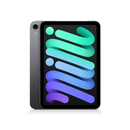 Apple iPad mini 2021 8 - grau