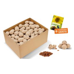 Tchibo - Frucht-Meisenkn&ouml;del - beige