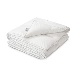 Irisette Premium G&auml;nsedaunenbett - silber
