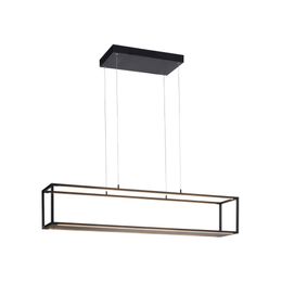 Paul Neuhaus LED-Pendelleuchte &raquo;Conni&laquo; - 105x20x120cm - schwarz - Eisen
