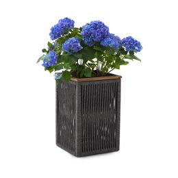 Tchibo - Pflanztopf mit Textilgeflecht - 32,7x31,7x50,5cm - anthrazit - Akazienholz / Polypropylen / Stahl