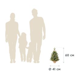 Tchibo - LED-Weihnachtsbaum mit &Uuml;bertopf &raquo;Aspen&laquo; - 16x16x54cm - beige -