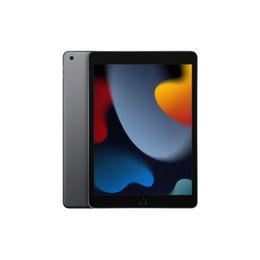 Apple iPad 2021 Wi-Fi - grau