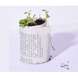 Dobar 3 Papiertopf-Pressen - braun