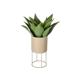 Tchibo - Runde Pflanzbox - beige