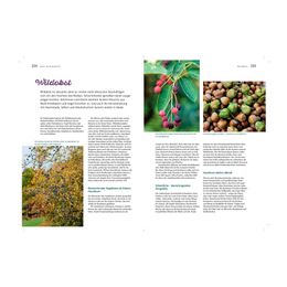 Tchibo - Buch: &raquo;Das gro&szlig;e Ulmer Biogartenbuch&laquo;