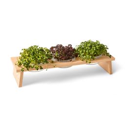 Tchibo - 3er-Microgreens-Bank - naturfarben