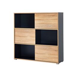 Tchibo - Kleines Schiebet&uuml;rregal &raquo;Slide&laquo; - 120x35x119cm - anthrazit - Holz