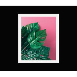 Tchibo - Rahmenbild &raquo;Monstera Pertusum&laquo; - schwarz