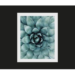 Tchibo - Rahmenbild &raquo;Agave Plant&laquo; - schwarz