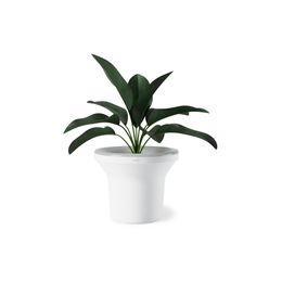 Umbra-Blumen&uuml;bertopf mit LED &raquo;Ora&laquo; - wei&szlig;