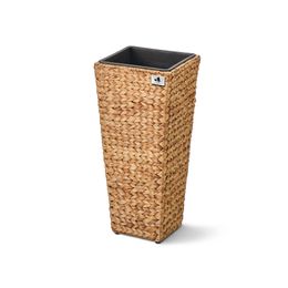 Tchibo - Pflanzs&auml;ule - beige