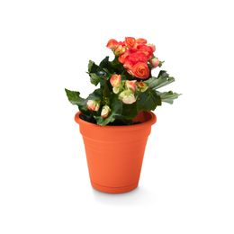 Tchibo - Blumentopf mit Balkonaufh&auml;ngung - terrakotta