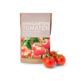 Tchibo - Minigarten in der Papiert&uuml;te - mehrfarbig