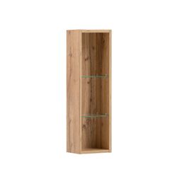 Tchibo - Regal &raquo;Duo&laquo; - 21,5x16x70,5cm - braun - Holz / Glas