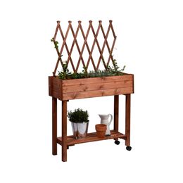 Tchibo - Hochbeet mit Rankgitter - 79x28,5x130cm - bernstein - Fichtenholz