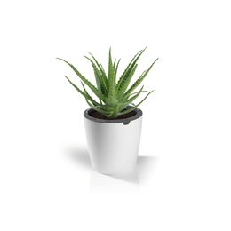 Tchibo - LAZY-LEAF-Blumentopf - wei&szlig;
