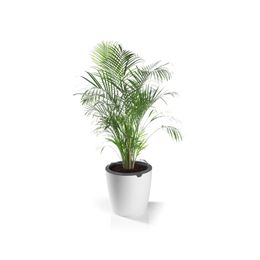 Tchibo - LAZY-LEAF-Blumentopf - wei&szlig;
