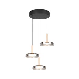 Trio LED-Pendelleuchte &raquo;Celeste&laquo; - schwarz