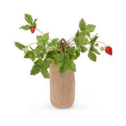 Tchibo - H&auml;ngender Erdbeer-Garten - mehrfarbig