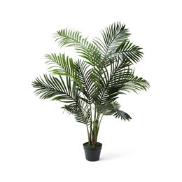 Tchibo - Kunstpflanze &raquo;Areca-Palme&laquo; - hellgr&uuml;n