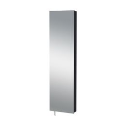 Tchibo - Drehschrank mit Ganzk&ouml;rperspiegel - 50x18x195cm - anthrazit - Holz / Glas