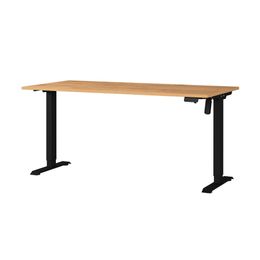 Tchibo - Elektrischer Schreibtisch &raquo;Profi&laquo; - 160x80x119cm - schwarz - Holz / Metall