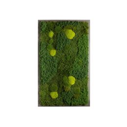 Tchibo - Moosbild &raquo;Woodslove&laquo; - gr&uuml;n