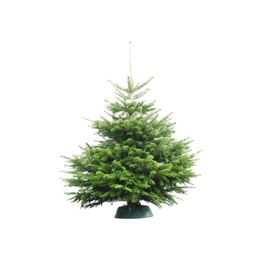 Tchibo - Weihnachtsbaum Nordmanntanne - gr&uuml;n