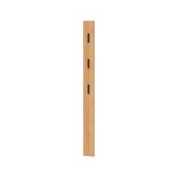Tchibo - Garderobenpaneel mit schwarzen Haken - 15x3x170cm - schwarz - Holz / Metall